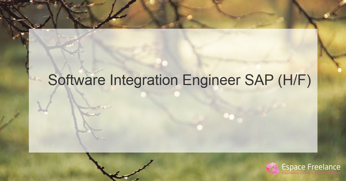 Software Integration Engineer SAP (H/F) - Espace Freelance Software Integration Engineer SAP (H/F) - Espace Freelance